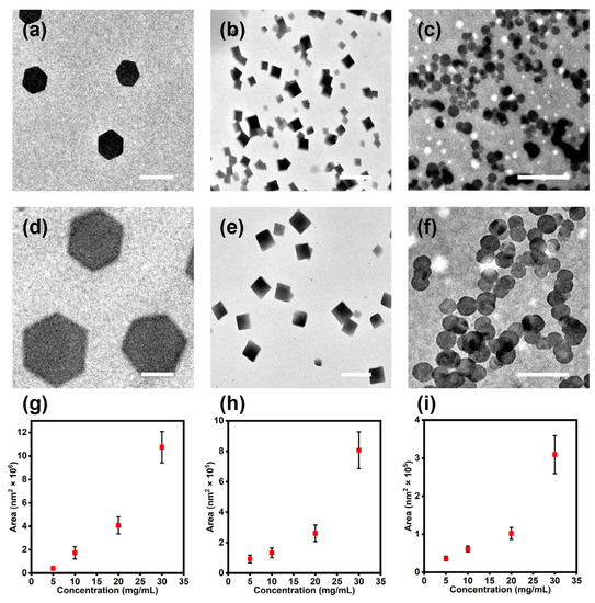 Polymers Free Full Text Assembly Of Supramolecular Nanoplatelets