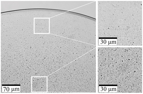 Polyacrylonitrile Fibers with a Gradient Silica Distribution as Precursors of Carbon-Silicon ...