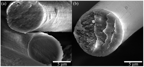 Polyacrylonitrile Fibers with a Gradient Silica Distribution as Precursors of Carbon-Silicon ...