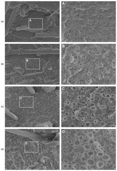 Polymers | Free Full-Text | Effect of Recycled Polyvinyl Butyral (rPVB) Addition on the ...