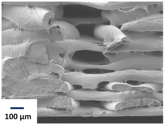 Effects of Infill Line Multiplier and Patterns on Mechanical Properties ...