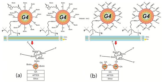 Dendrimer-Based Coatings on a Photonic Crystal Surface for Ultra ...