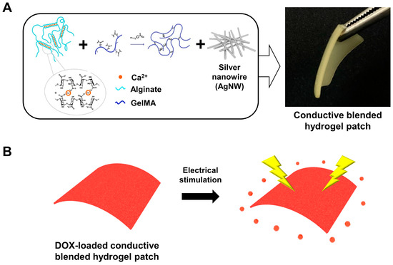 Electro-Responsive Conductive Blended Hydrogel Patch