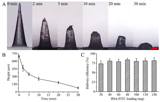 Soluble Polymer Microneedles Loaded with Interferon Alpha 1b for ...