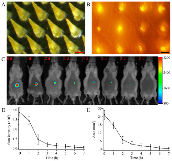 Soluble Polymer Microneedles Loaded with Interferon Alpha 1b for ...
