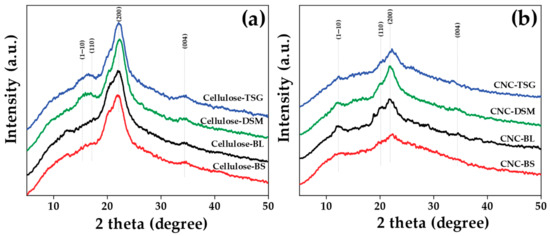 Preparation and Characterization of Cellulose Nanocrystals from Bamboos ...