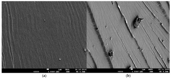 Reinforced Epoxy Binder Modified with Borpolymer