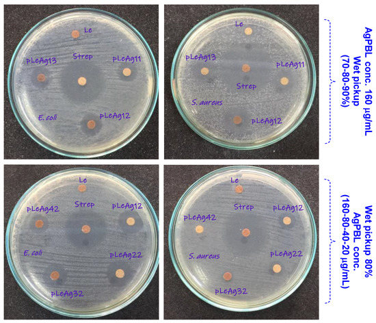 Antibacterial and Antifungal Fabrication of Natural Lining Leather ...