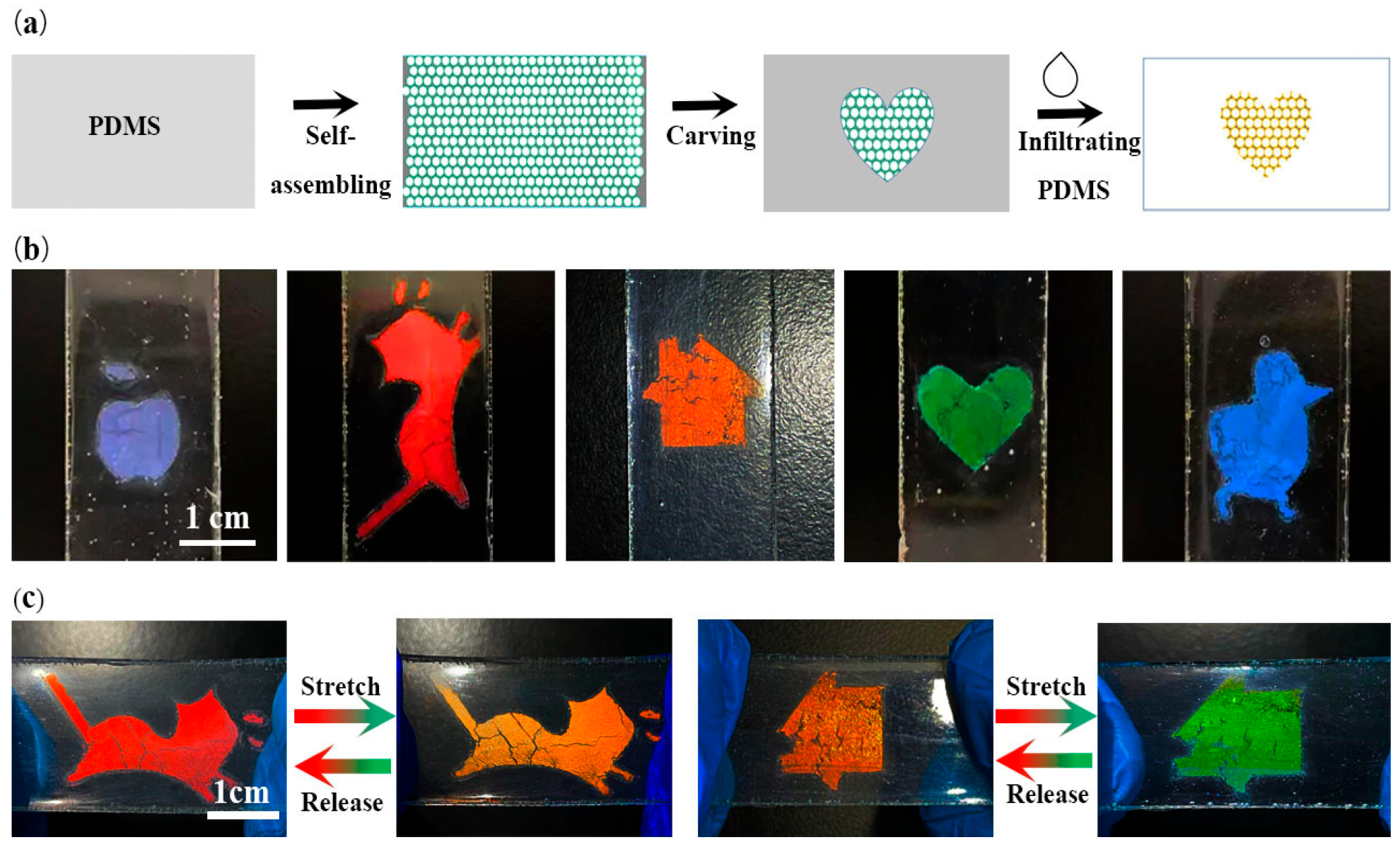 Chameleon-Inspired Mechanochromic Photonic Elastomer with Brilliant ...