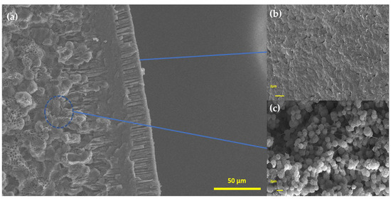PVDF/Clay Spheres Obtained through Phase Inversion for Cu Ion Removal