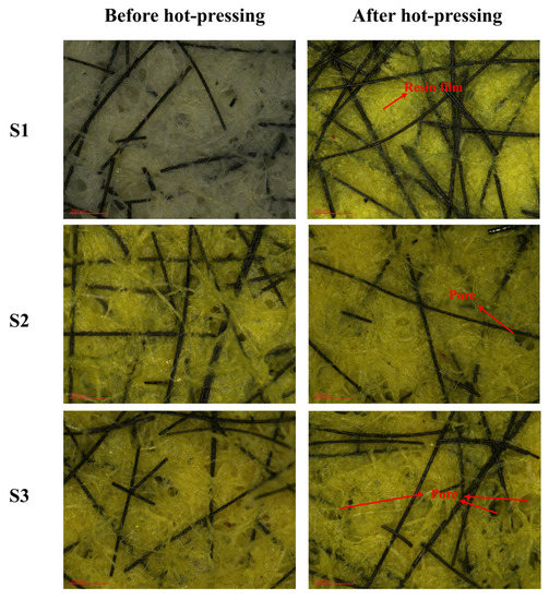 Effects of Pre-Curing on the Structure and Properties of Paper-Based ...