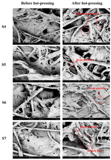 Effects of Pre-Curing on the Structure and Properties of Paper-Based ...