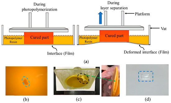 A Review of Critical Issues in High-Speed Vat Photopolymerization