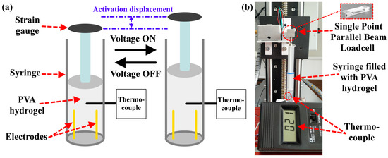 Preparation of Linear Actuators Based on Polyvinyl Alcohol Hydrogels ...