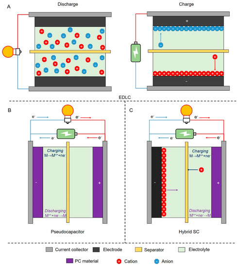 Valorization of Biomass-Derived Polymers to Functional Biochar ...
