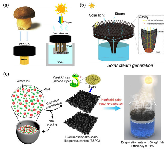 Overview of Solar Steam Devices from Materials and Structures