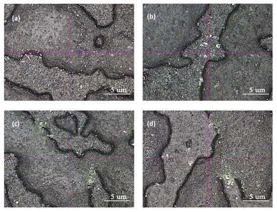 Effect of SEBS Molecular Structure and Formula Composition on the Performance of SEBS/PP TPE for ...