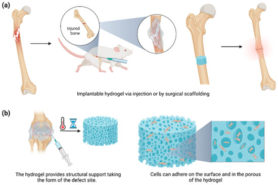 Chitosan, Gelatin, and Collagen Hydrogels for Bone Regeneration