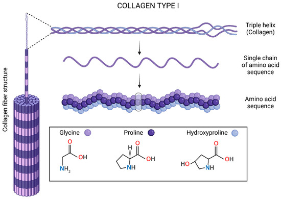 Chitosan, Gelatin, and Collagen Hydrogels for Bone Regeneration