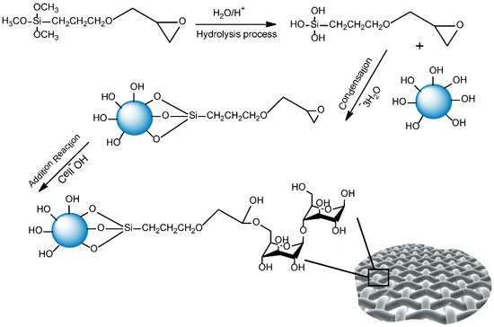 Sunlight-Driven Photocatalytic Active Fabrics through Immobilization of ...