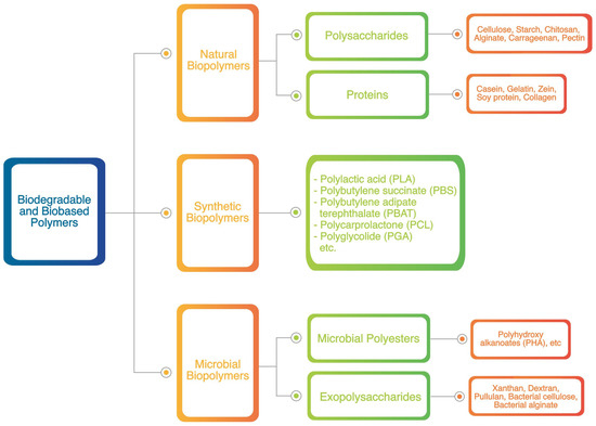 A Review on Biopolymer-Based Biodegradable Film for Food Packaging ...