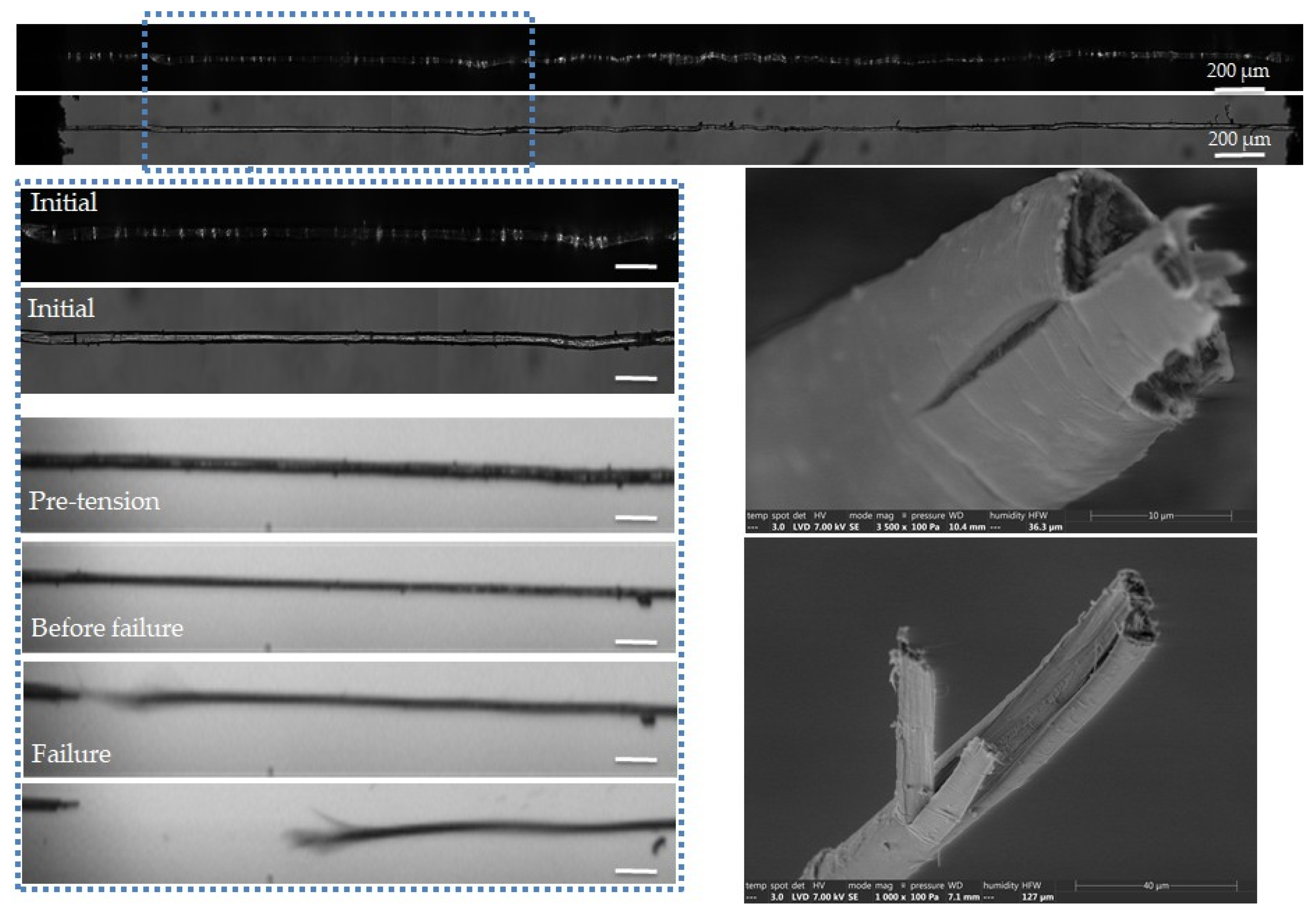 In Situ Tensile Testing under High-Speed Optical Recording to Determine ...