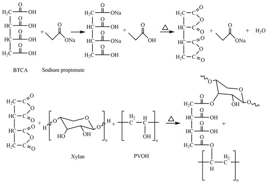 Enhancing Hydrophobicity and Oxygen Barrier of Xylan/PVOH Composite ...