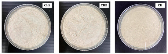 Physicochemical Properties of Chitosan from Green Mussel Shells (Perna ...