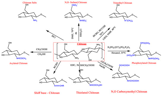 Polymers Free Full Text A Review Of Chitosan And Chitosan Nanofiber