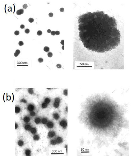 A Review of Chitosan and Chitosan Nanofiber: Preparation ...