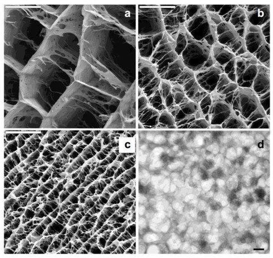 Polymers | Free Full-Text | A Review of Chitosan and Chitosan Nanofiber: Preparation ...