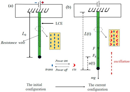Vibration of a Liquid Crystal Elastomer Spring Oscillator under ...