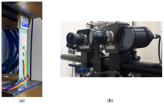 Digital Image Correlation Analysis of Strain Fields in Fibre-Reinforced ...