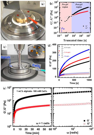 Experimental Advances in the Real-Time Recording of Cross-Linking ...