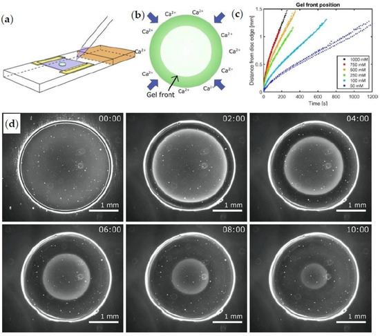 Experimental Advances in the Real-Time Recording of Cross-Linking ...