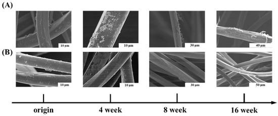 The Relationships between the Structure and Properties of PA56 and PA66 ...
