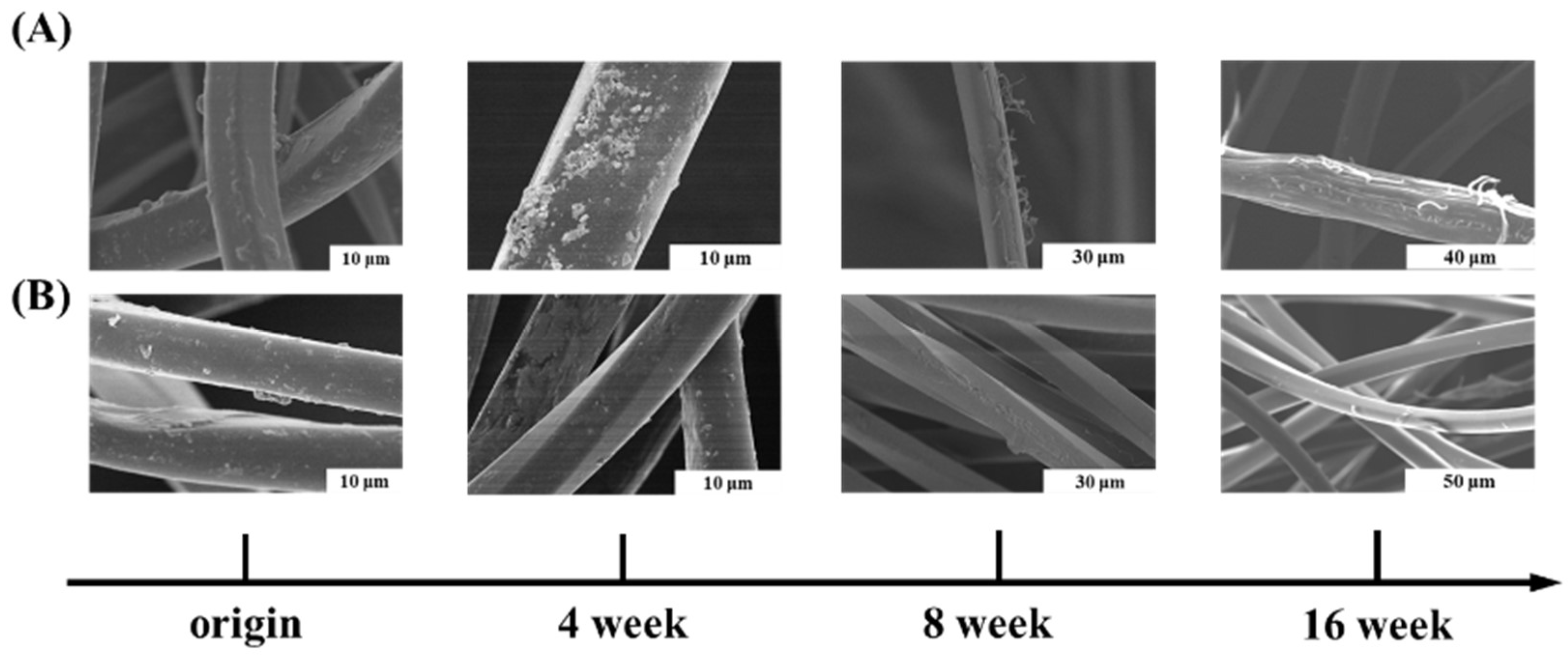The Relationships between the Structure and Properties of PA56 and PA66 and Their Fibers