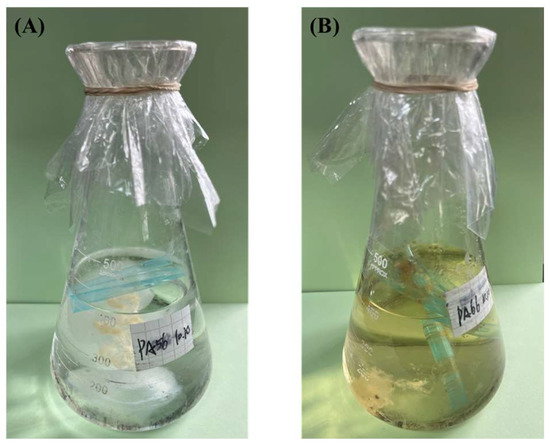 The Relationships between the Structure and Properties of PA56 and PA66 ...