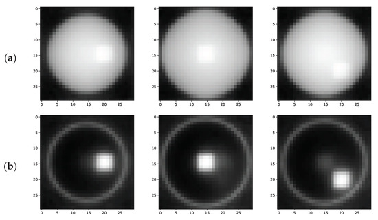 Fiber Orientation Estimation from X-ray Dark Field Images of Fiber Reinforced Polymers Using ...