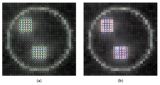 Fiber Orientation Estimation from X-ray Dark Field Images of Fiber Reinforced Polymers Using ...