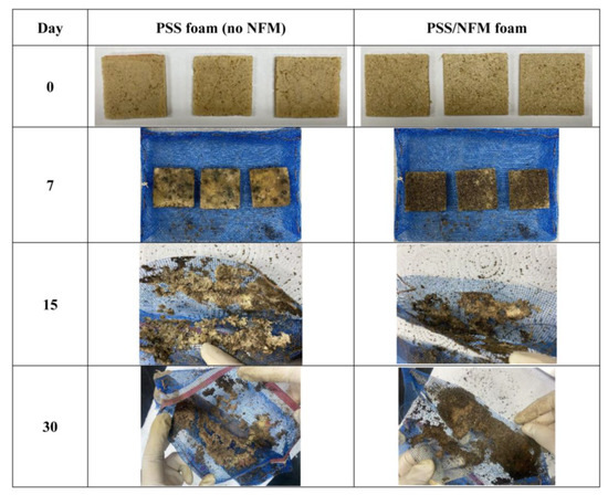 Development of Biodegradable Rigid Foams from Pineapple Field Waste