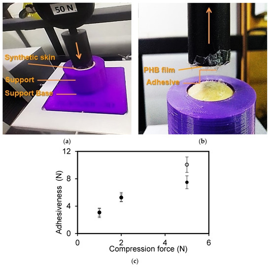 Films of Poly(Hydroxybutyrate) (PHB) and Copper with Antibacterial Activity
