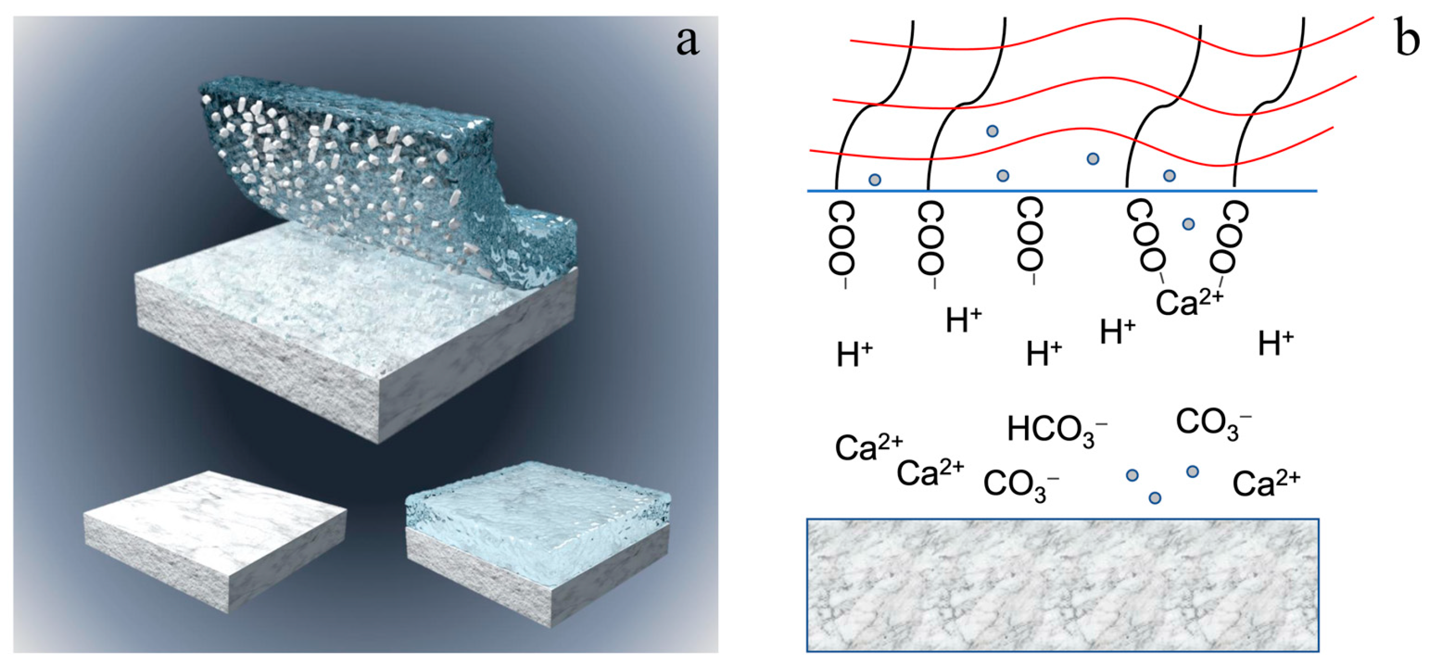 Removal of Calcareous Concretions from Marine Archaeological Ceramics ...