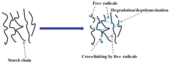 Starch Modification with Molecular Transformation, Physicochemical ...