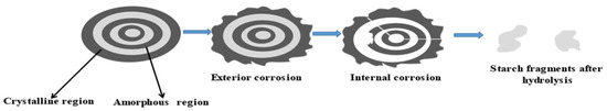 Starch Modification with Molecular Transformation, Physicochemical ...