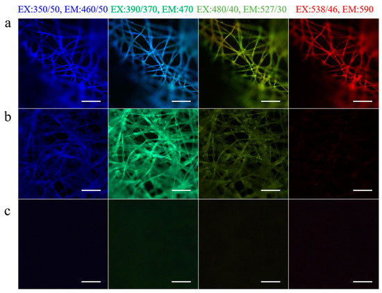 Polymers | Free Full-Text | Sericin from Fibroin-Deficient Silkworms ...
