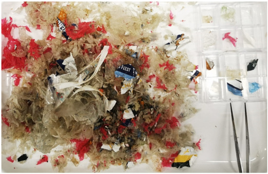 Separation and Characterization of Plastic Waste Packaging Contaminated ...