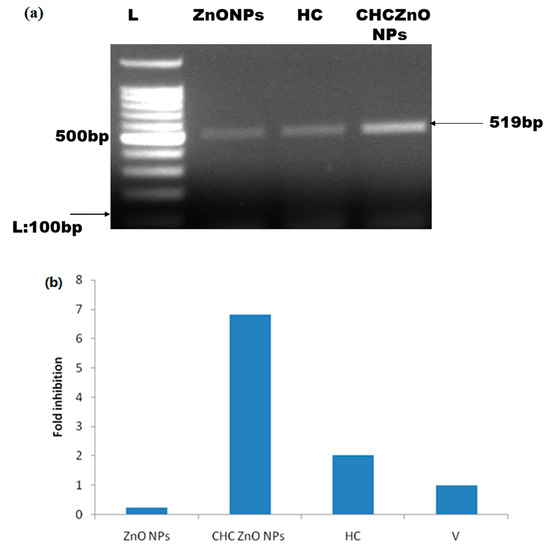 Synergistic Effect of Zinc-Chitosan Nanoparticles and ...