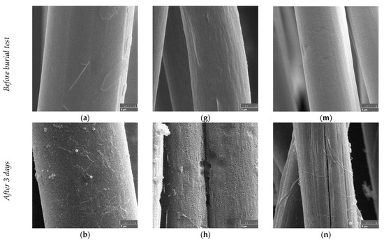 Degradation Behavior of Biodegradable Man-Made Fibers in Natural Soil ...