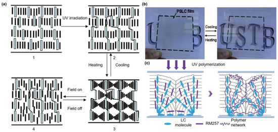 A Review of Developments in Polymer Stabilized Liquid Crystals